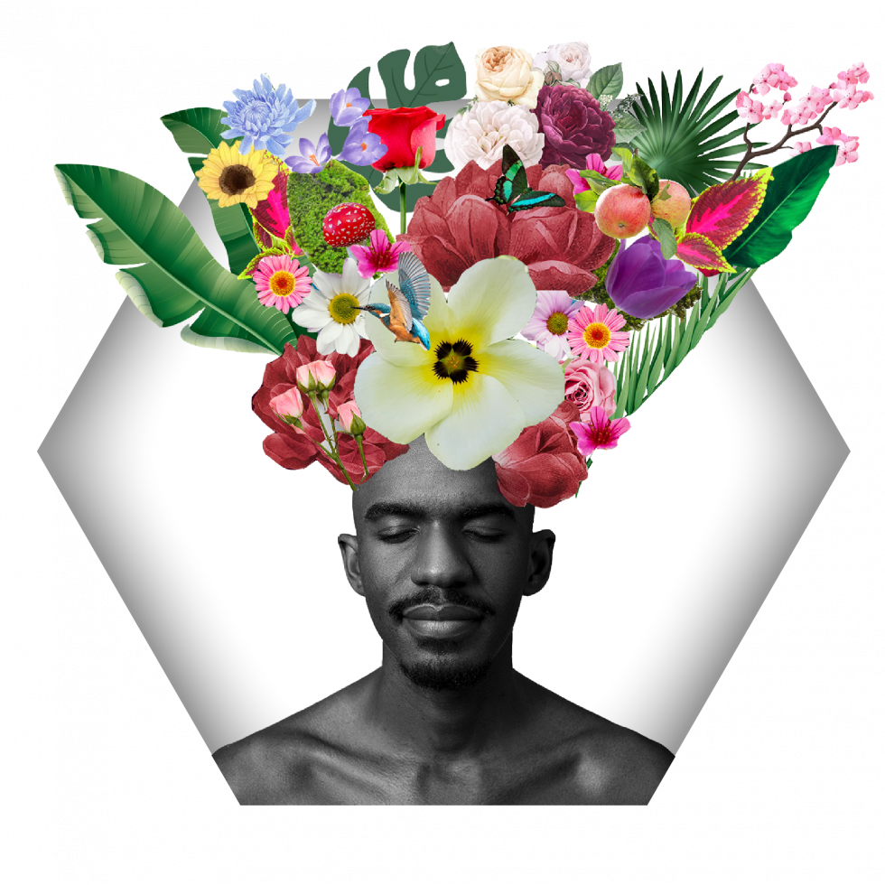 Open Minds – MTF Labs